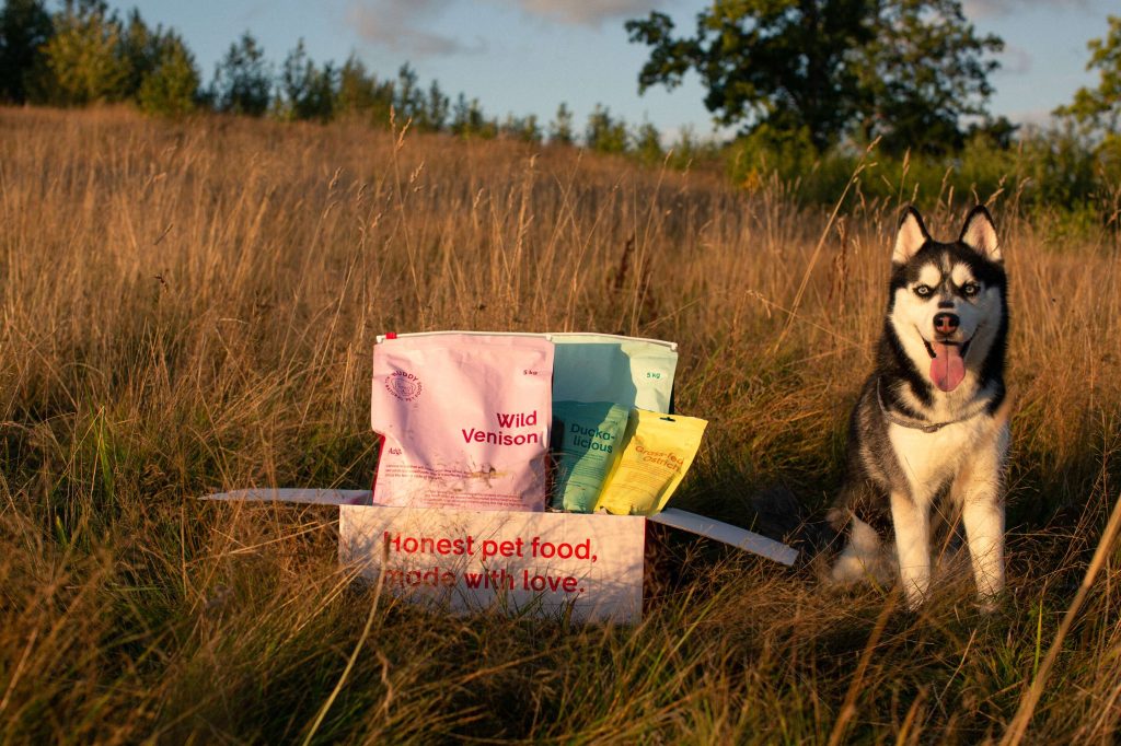 PETBUDDY GROUP